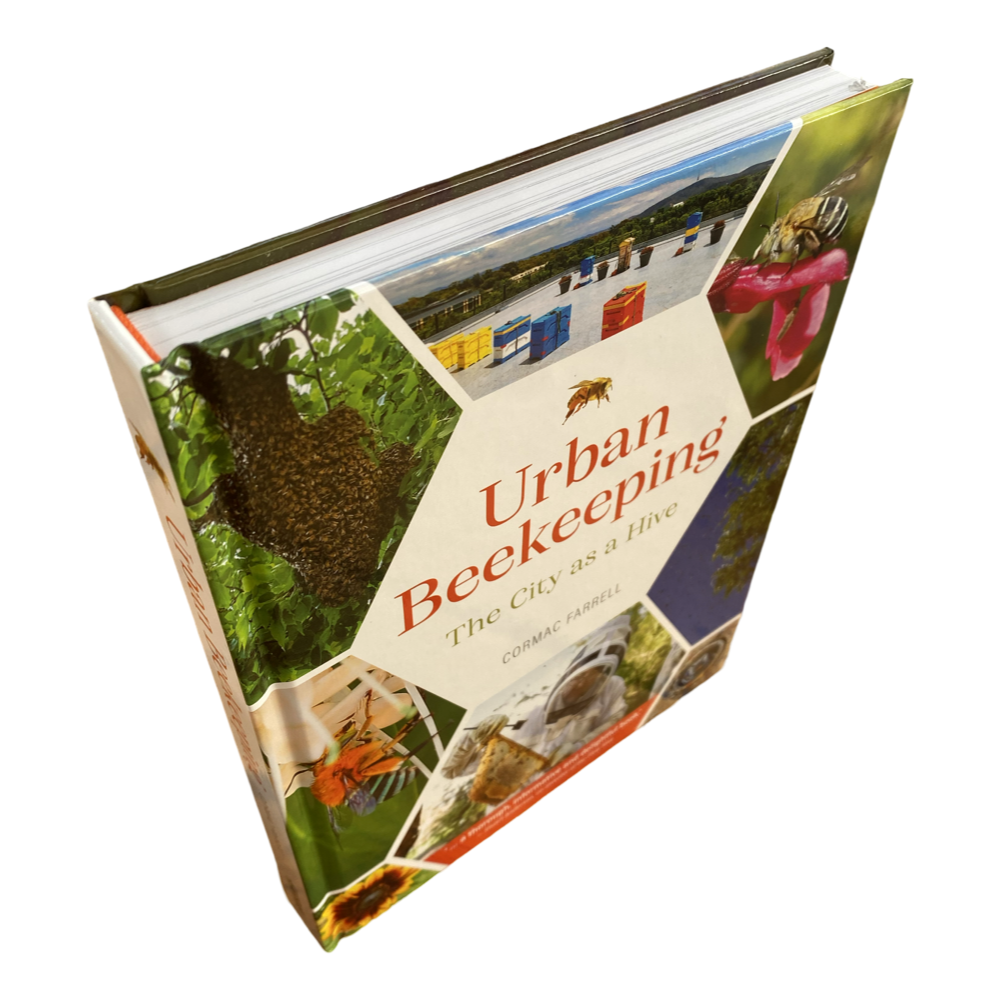 Urban Beekeeping - The City as a Hive - Cormac Farrell – Waggle & Forage