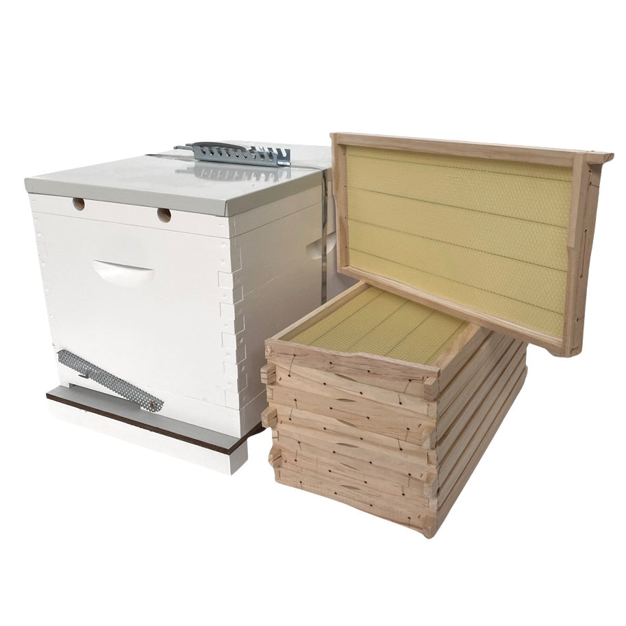 Premium 8 Frame Beehive - Ready to Go – Waggle & Forage