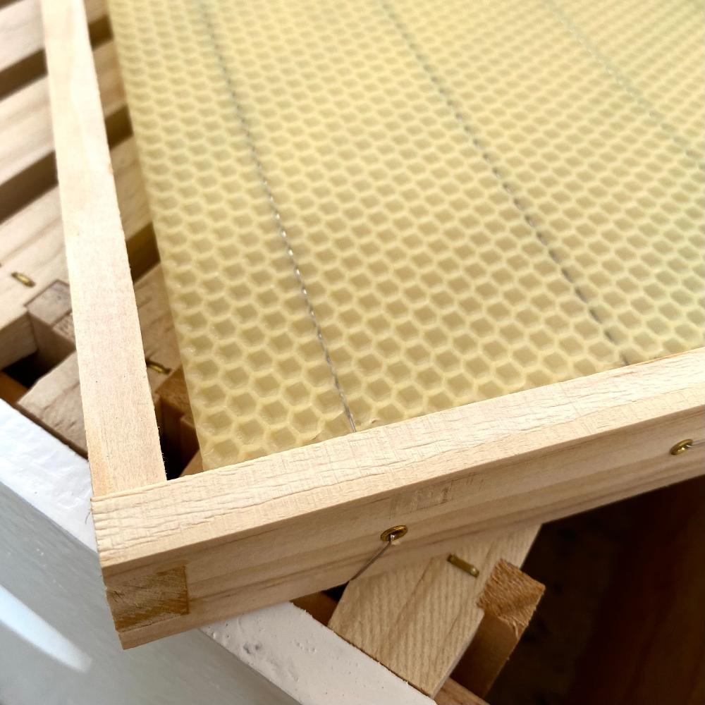 Premium Beehive Super - Complete with 10 Frames – Waggle & Forage