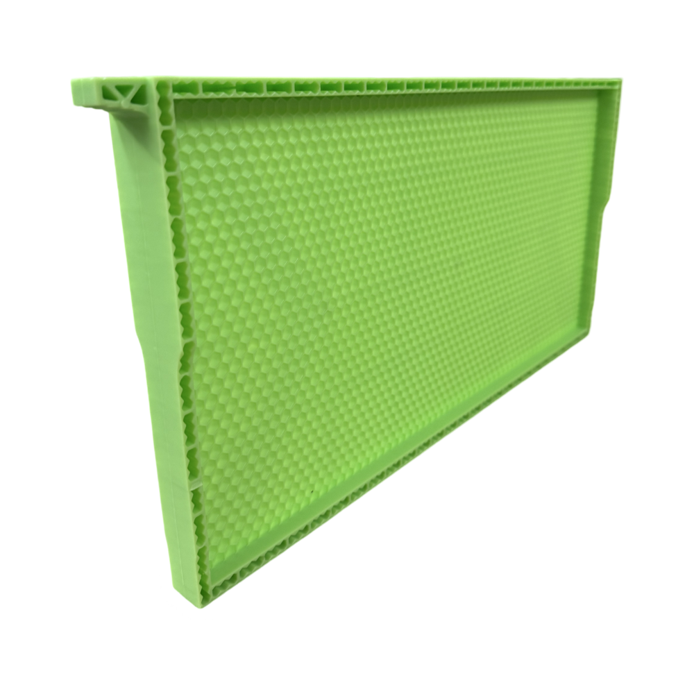 Drone Comb Bee Frame - Australian Made – Waggle & Forage