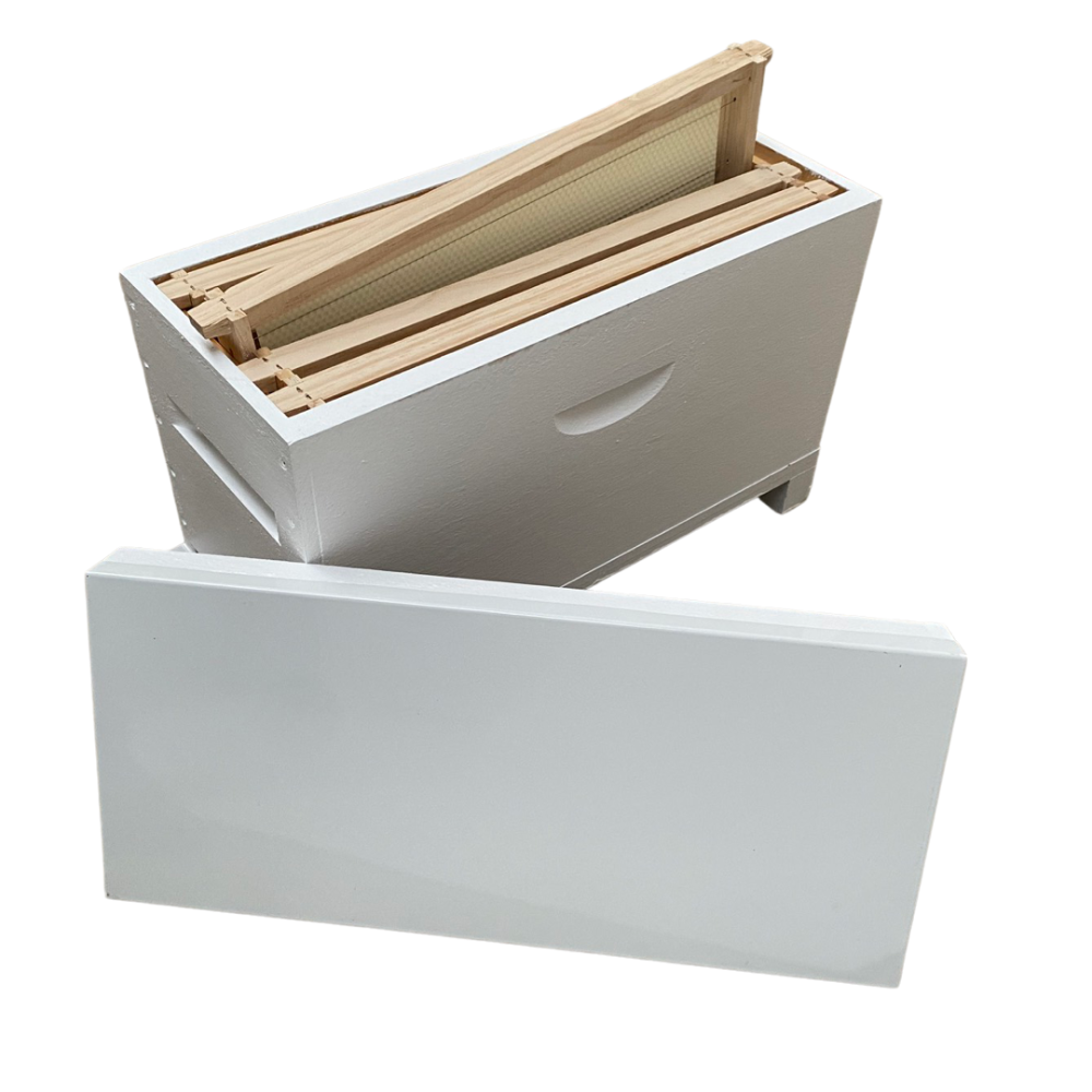 Complete 5 Frame Nuc Kit - Ready to Go – Waggle & Forage