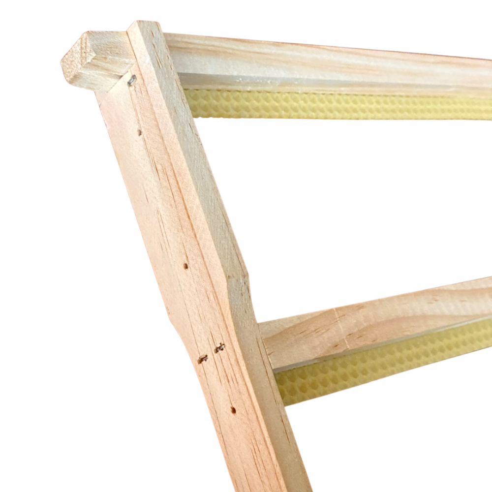 Honeycomb/Drone Frame - Full Depth – Waggle & Forage