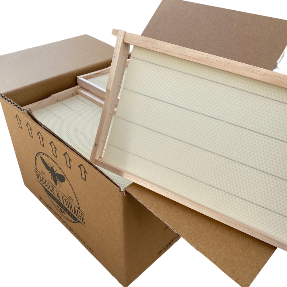 Full Depth Bee Frame: Ready-to-go – Waggle & Forage